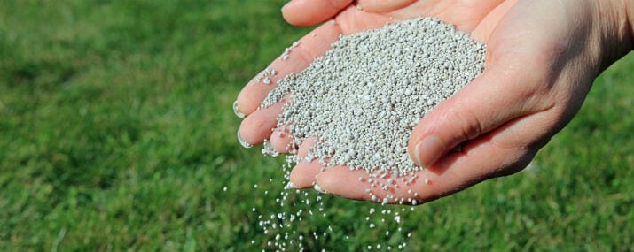 Slow Release Fertilizer vs. Fast Release Fertilizer